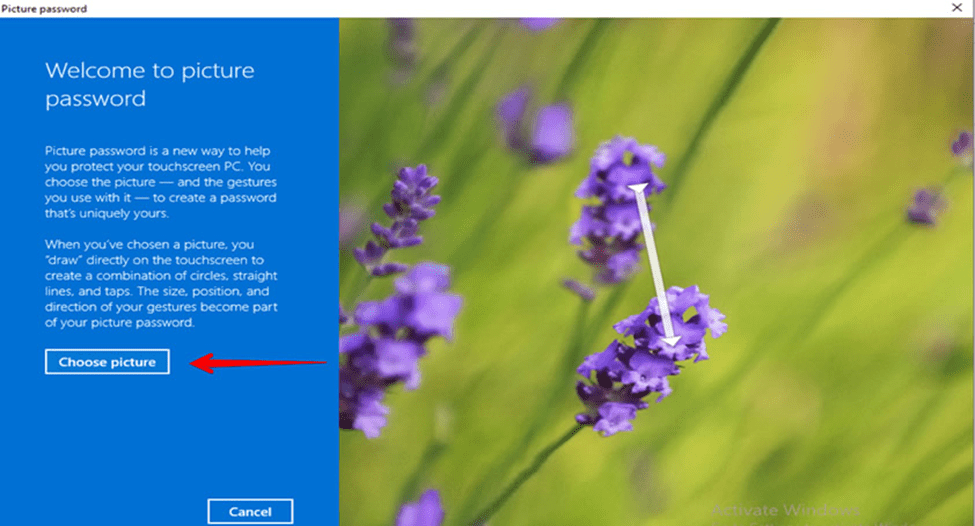 Windows Sign In Options And Account Protection On Windows 11